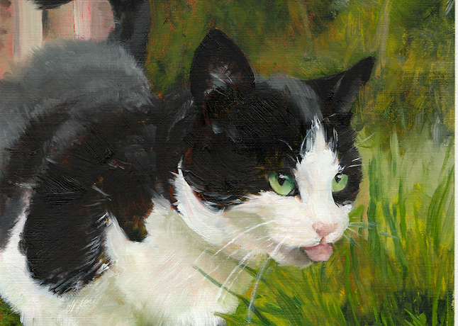 cat paintings by crescent cheng – Paint That Cat
